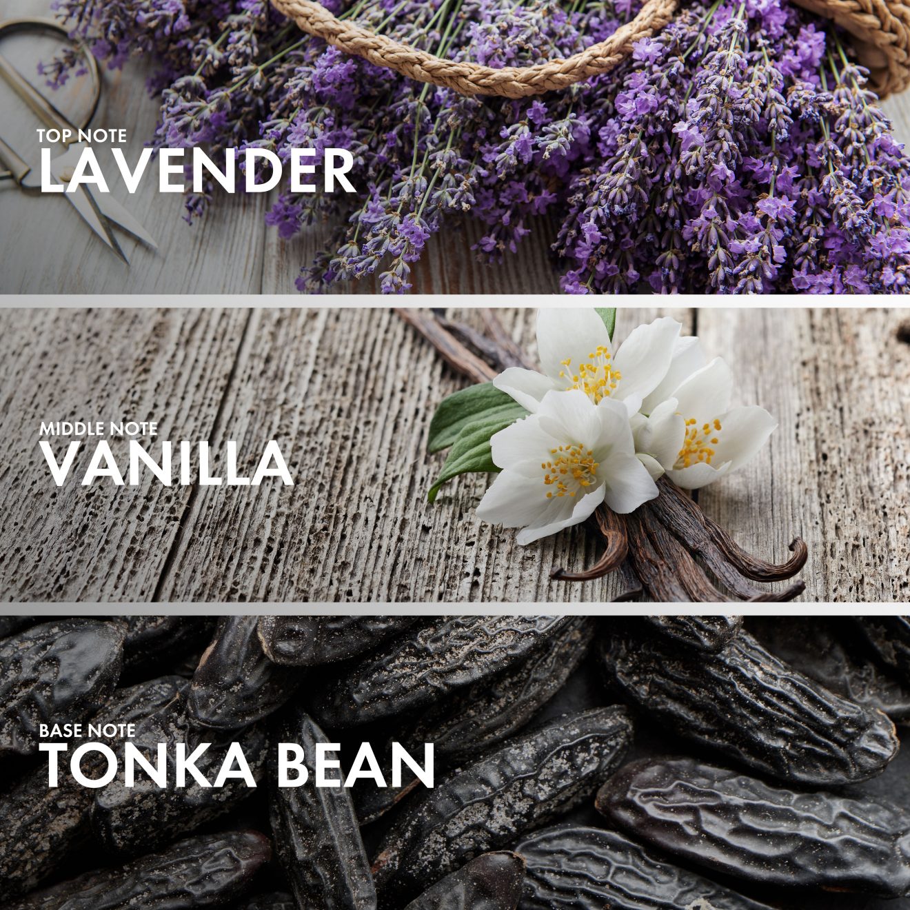 Aromatic Almond - Craftier Perfumes