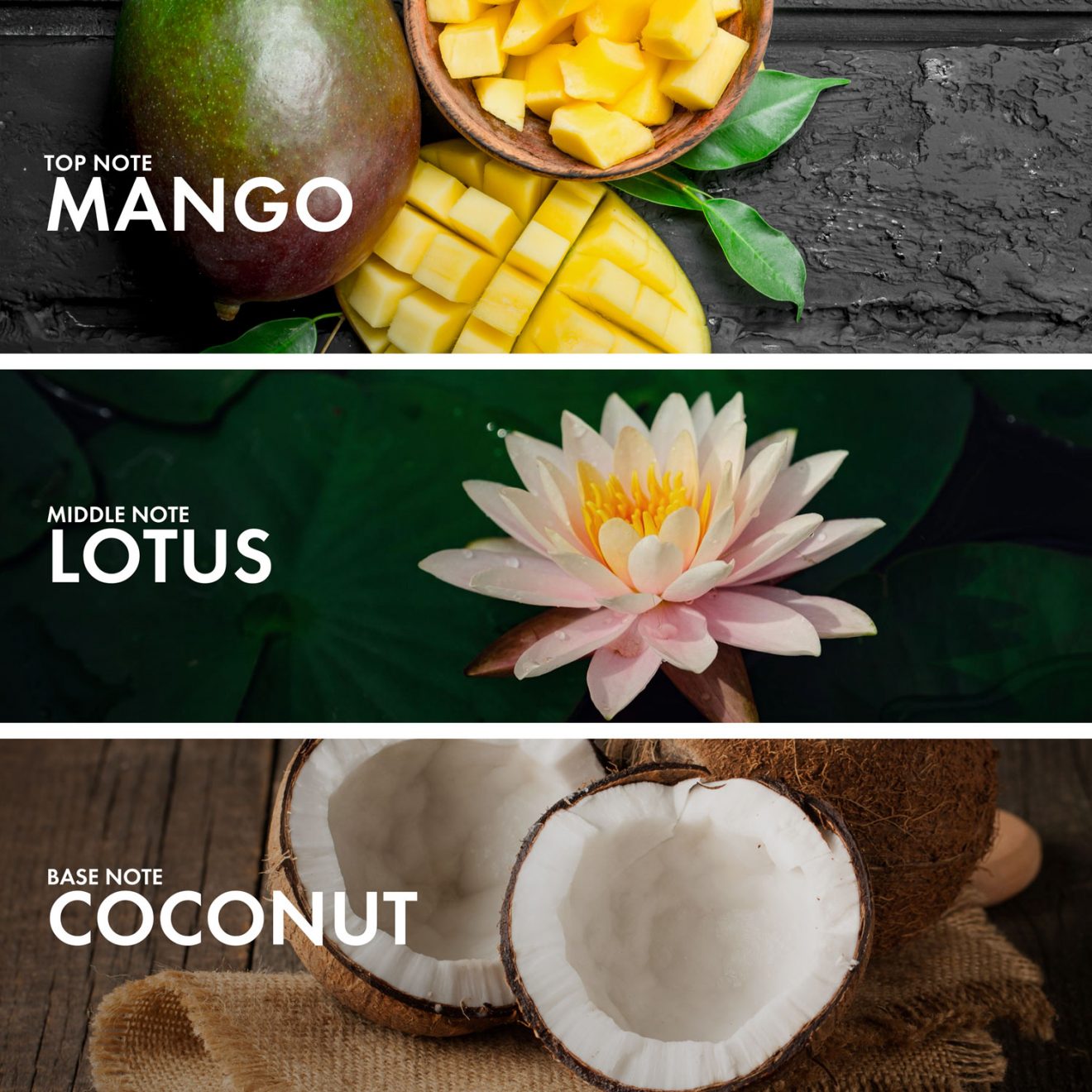Mango Lotus - Craftier Perfumes